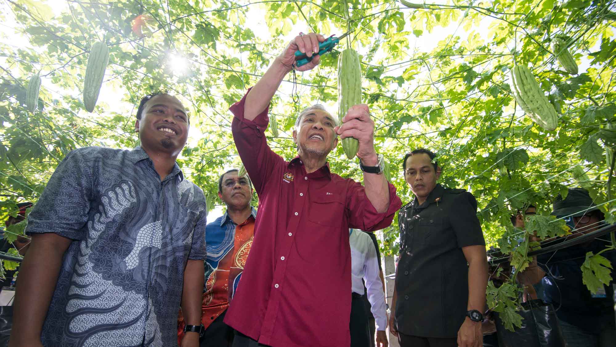 BAT – Digital Agency